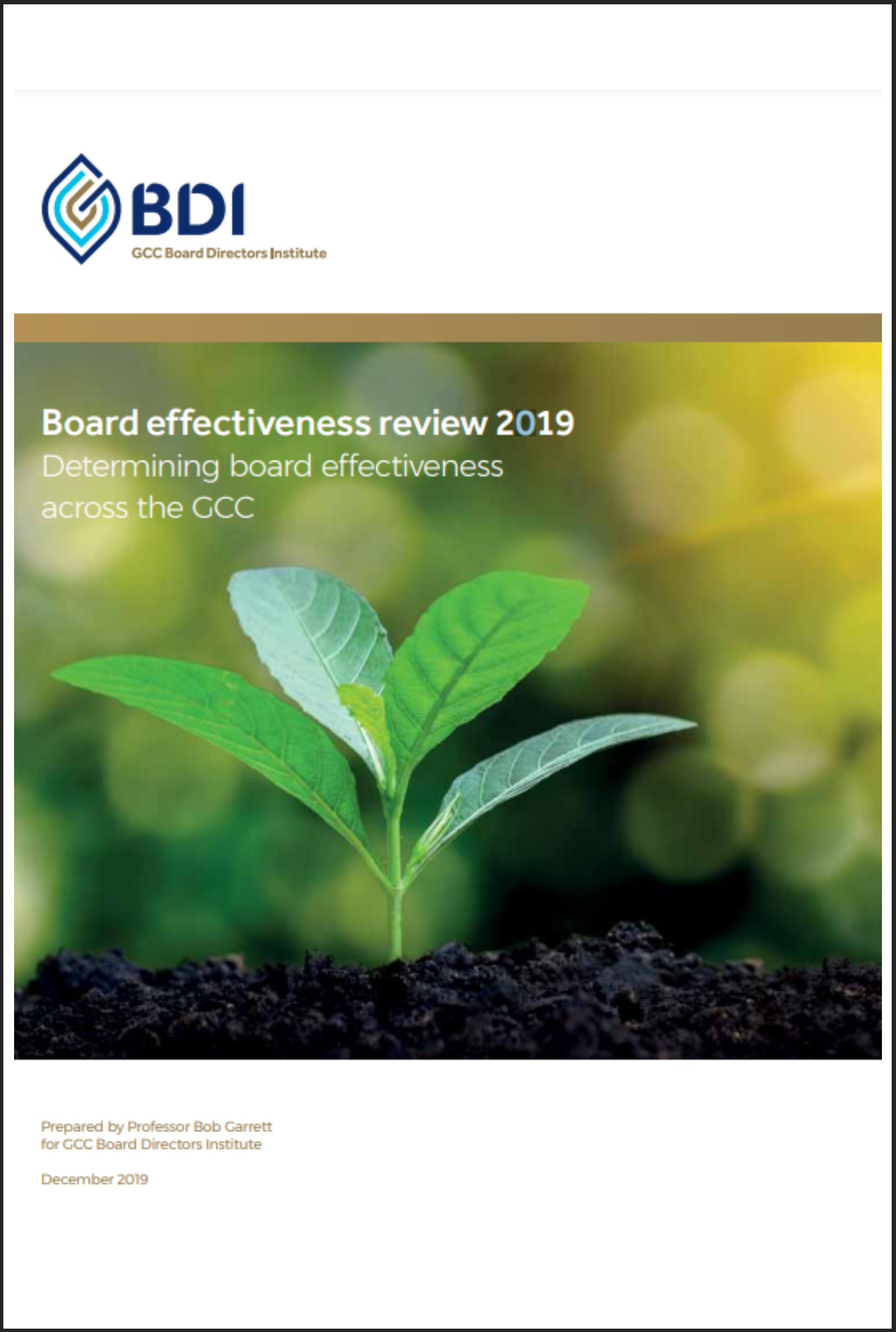 Surveys and Publications | GCC Board Directors Institute