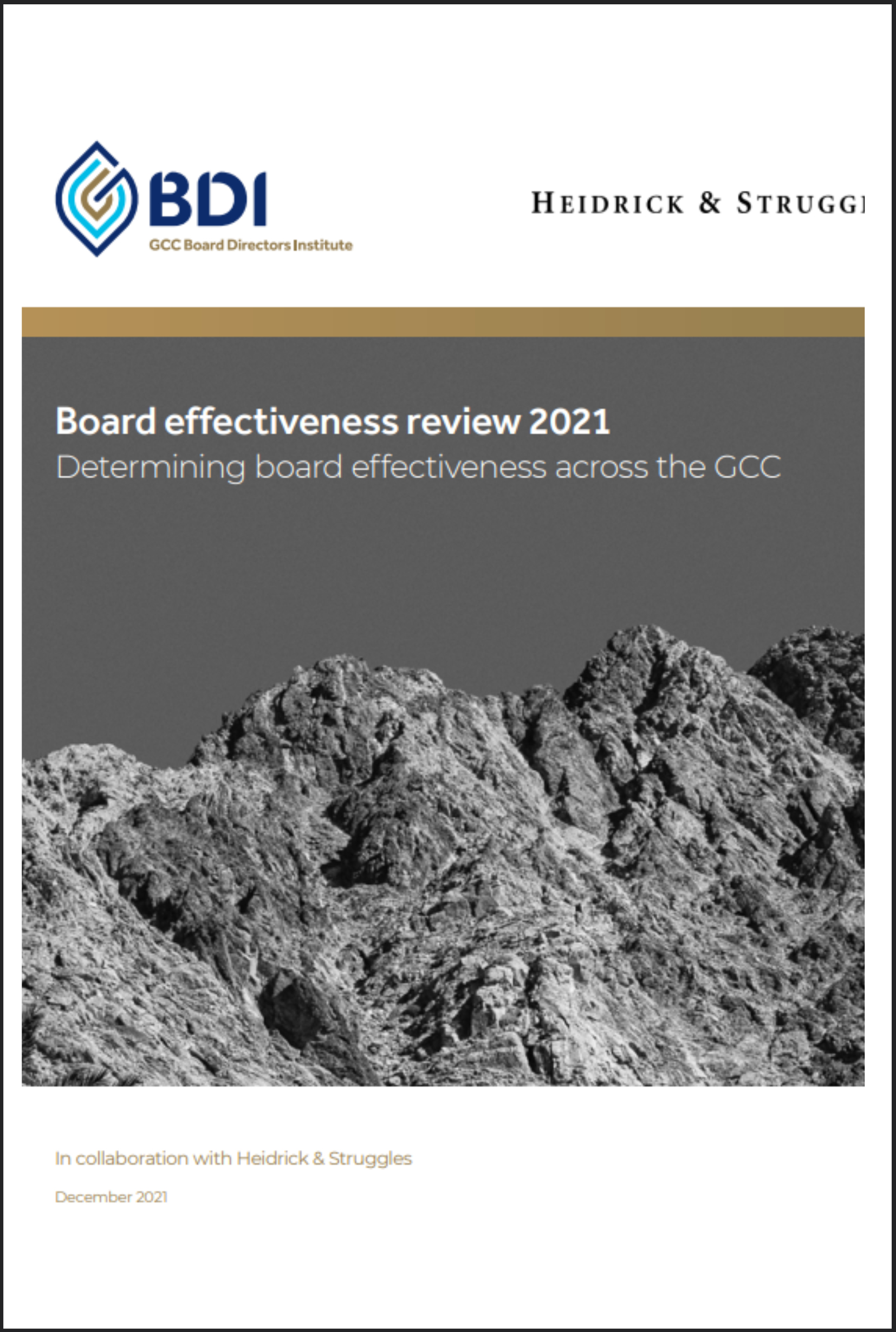 Surveys and Publications | GCC Board Directors Institute
